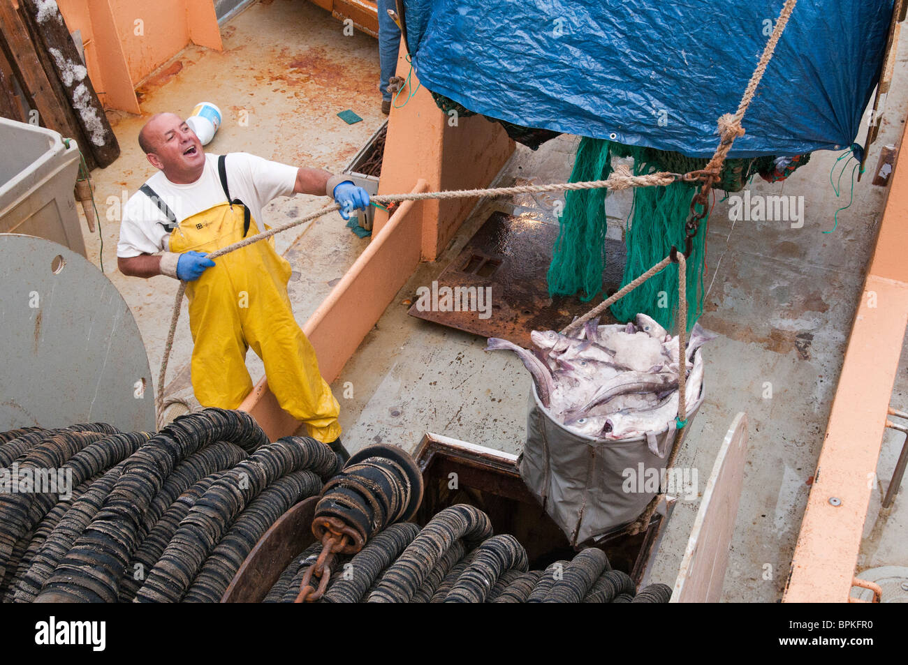 Pollack fishing hi-res stock photography and images - Alamy
