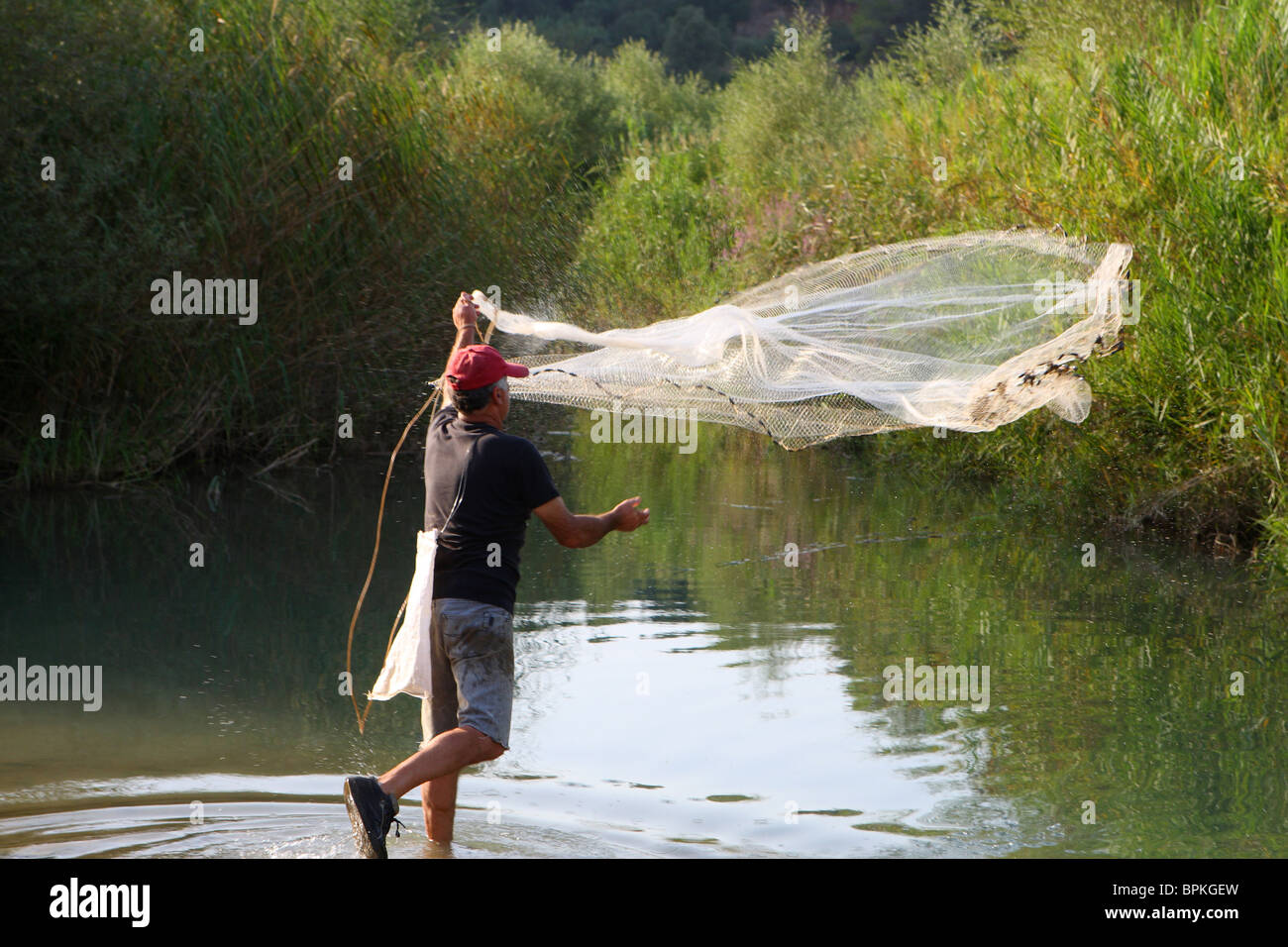 Osprey fishing greece hi-res stock photography and images - Alamy