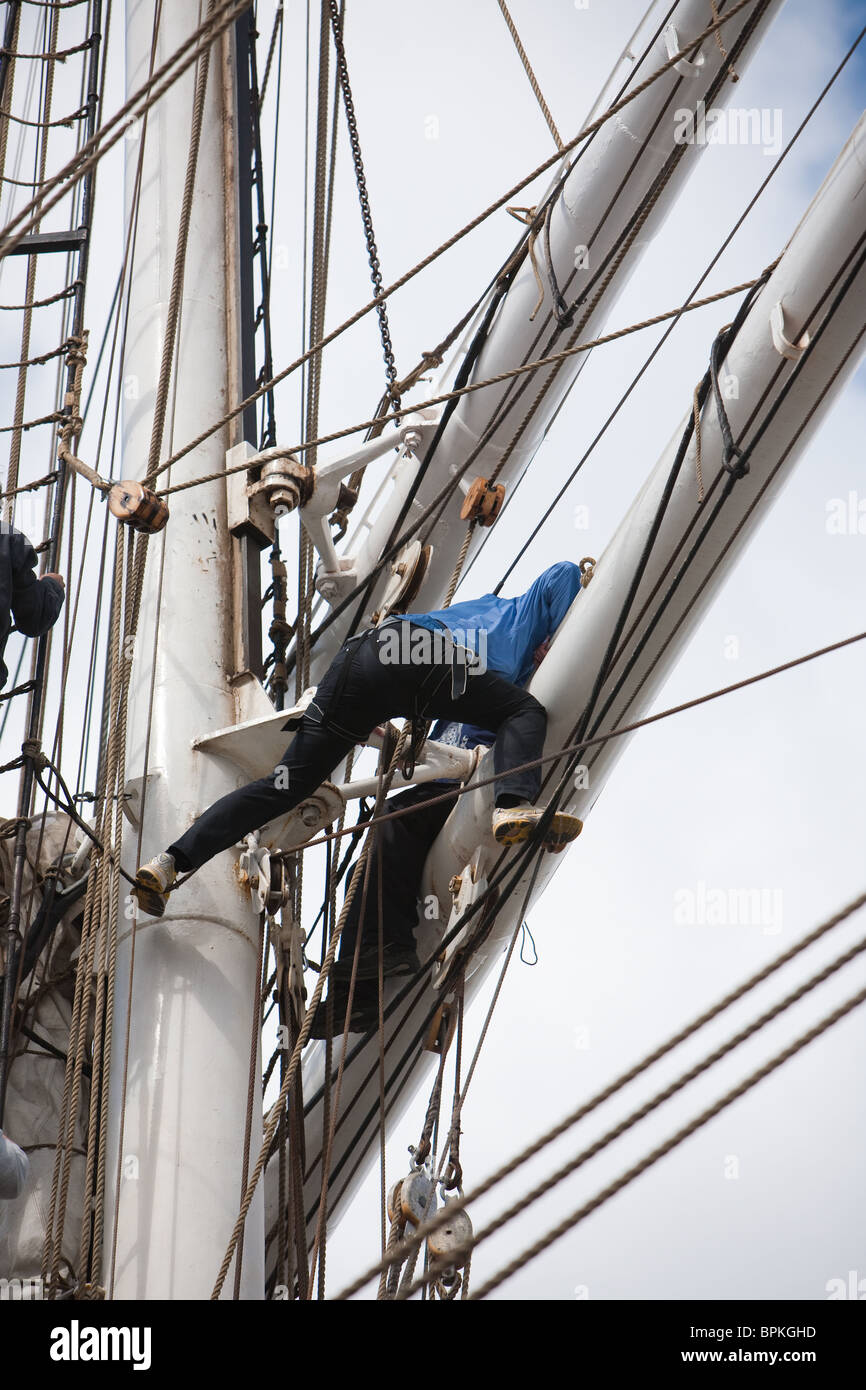 Sailors and participants working the Rigging and Sails at The 2010 Tall ...