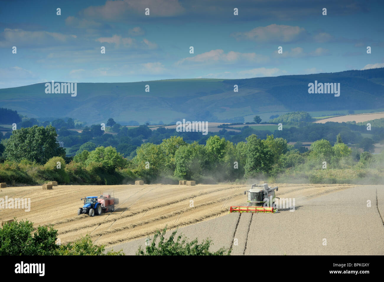 Combine harvesting in South Shropshire England Uk Stock Photo - Alamy