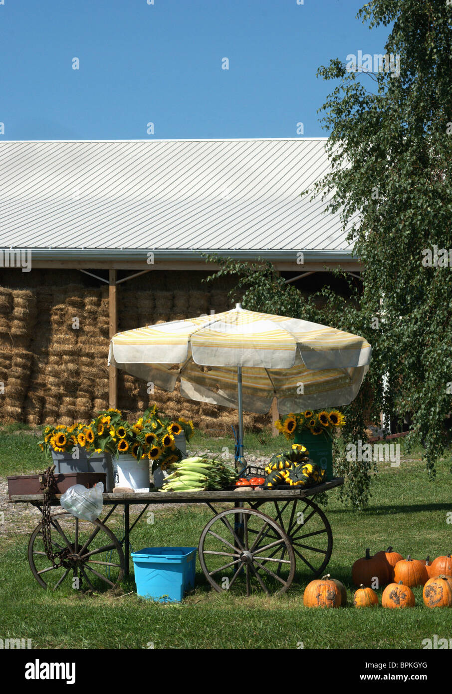 Farmers stand hi-res stock photography and images - Alamy