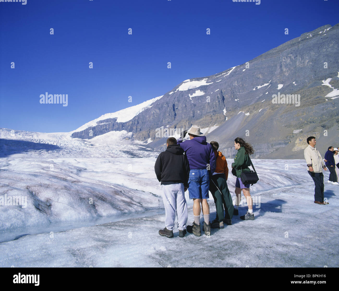 Columbia Icefield, Banff National Park, Alberta, Canada Stock Photo - Alamy
