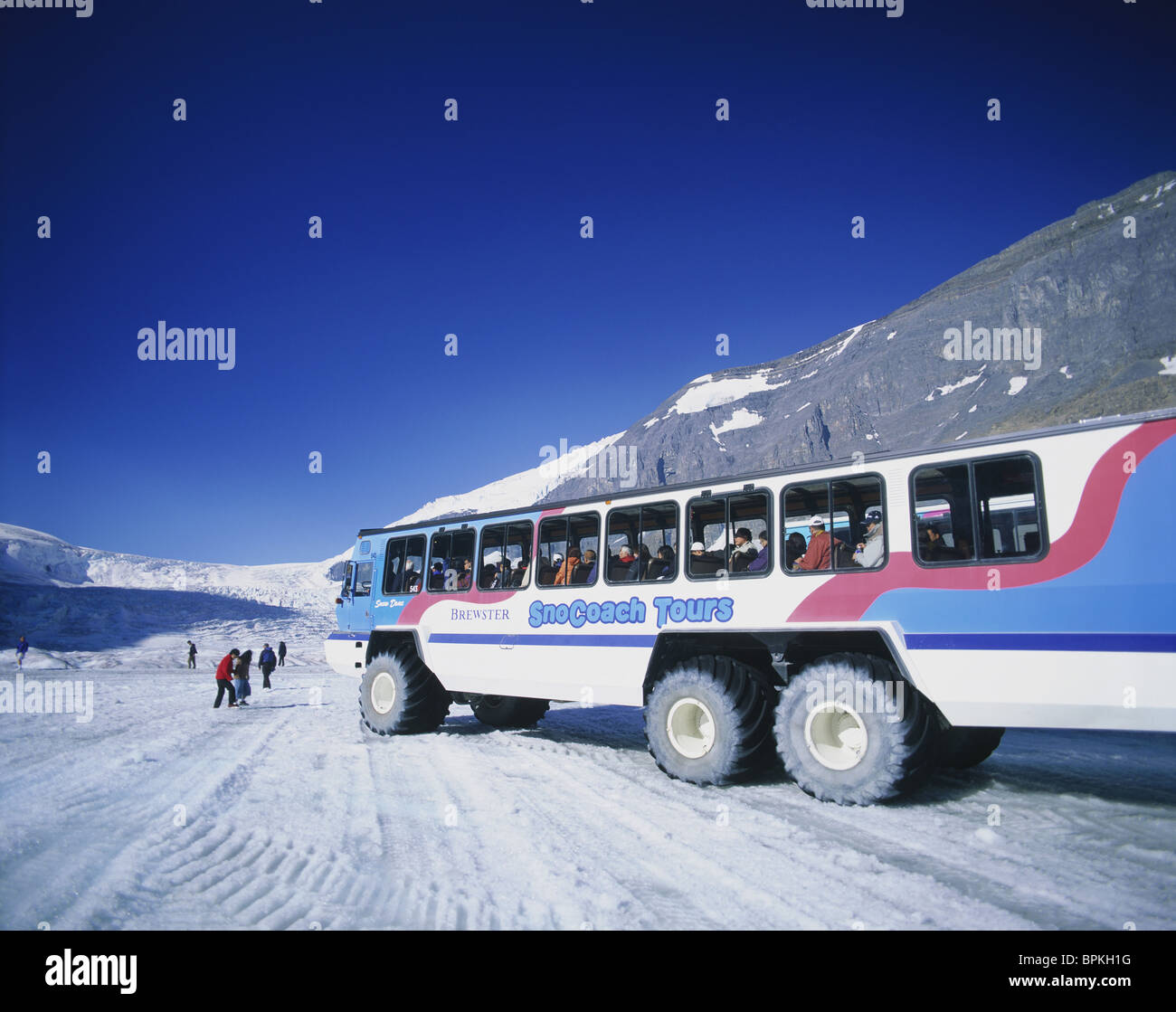 Columbia Icefield, Banff National Park, Alberta, Canada Stock Photo - Alamy