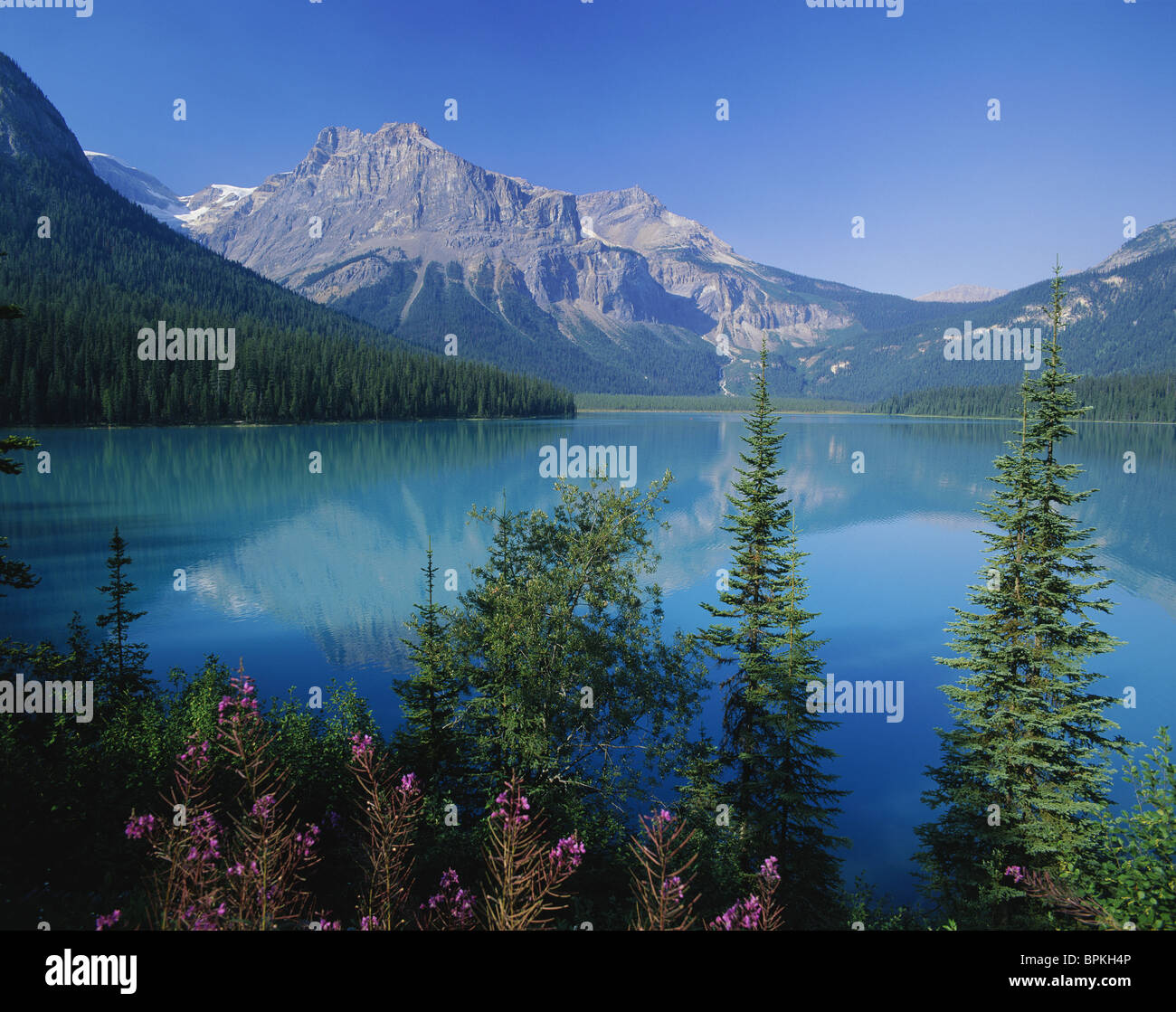 Emerald Lake, Yoho National Park, British Columbia, Canada Stock Photo ...