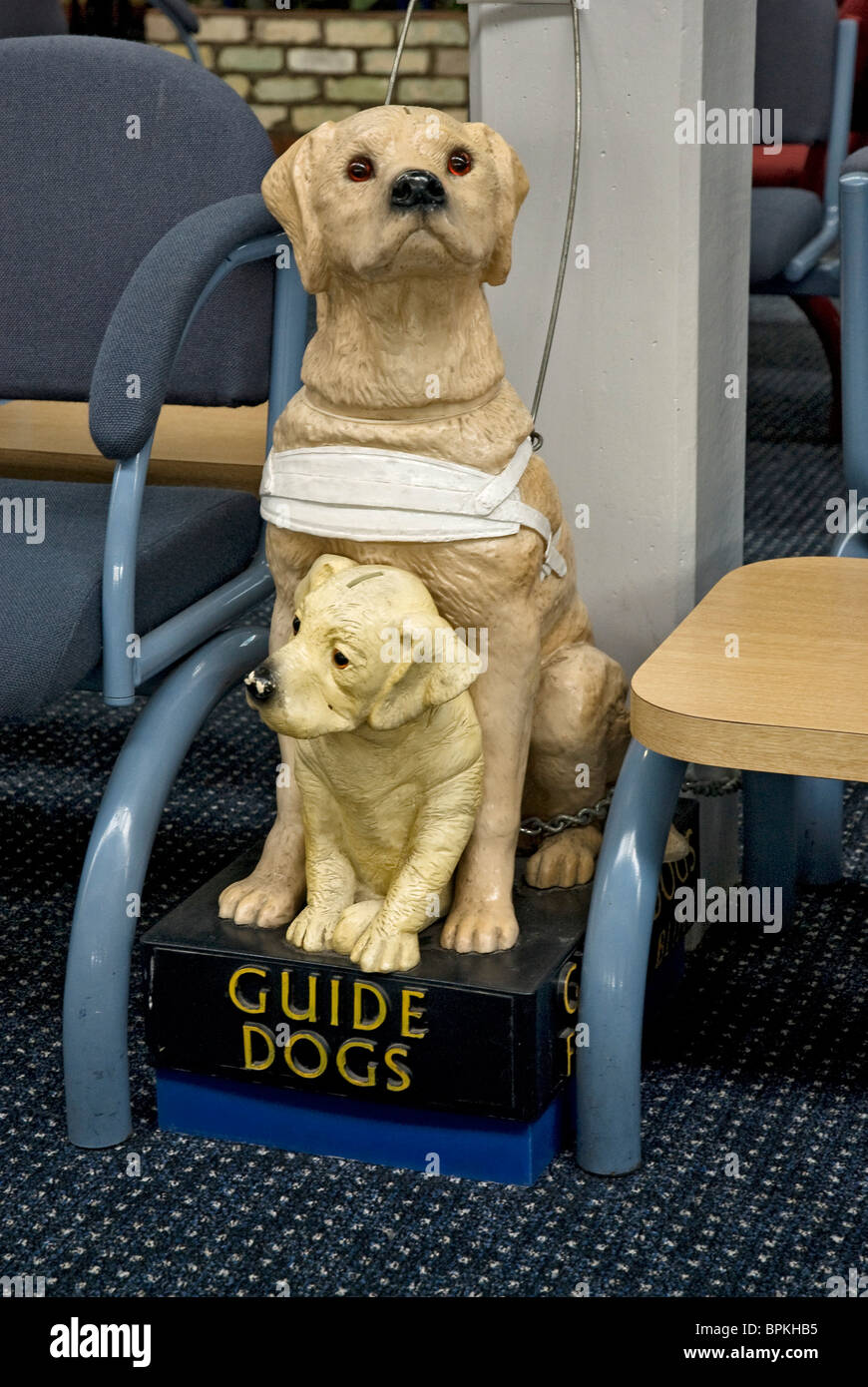 Guide dogs hi-res stock photography and images - Alamy