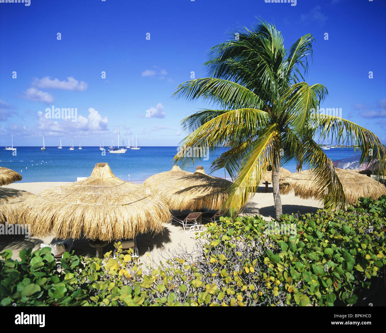 Reduit Beach, St Lucia, Caribbean Stock Photo - Alamy