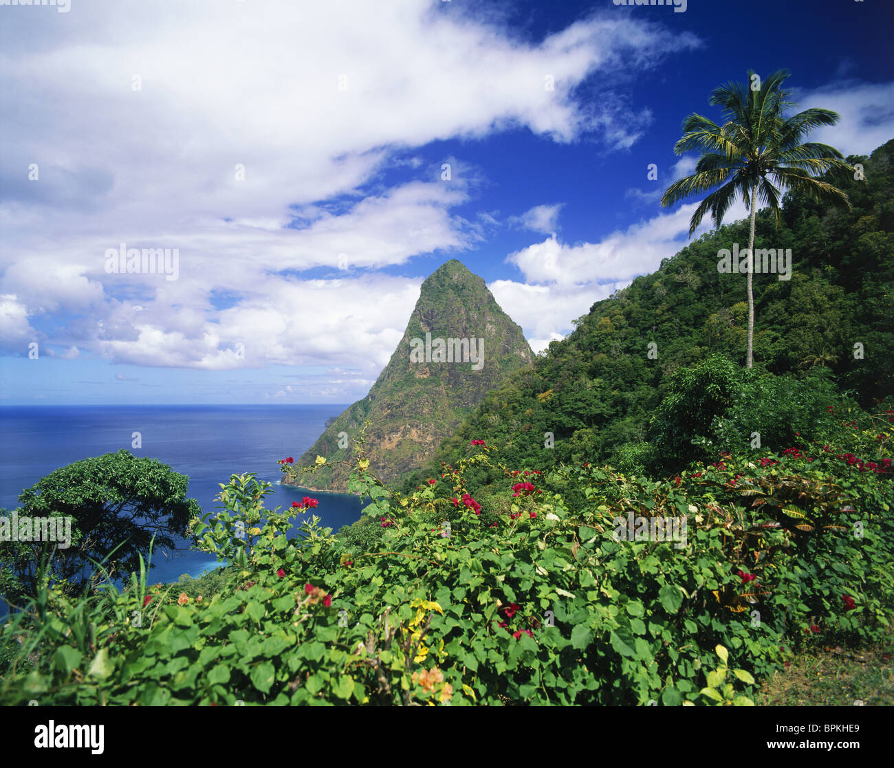 The Pitons, Soufriere, St Lucia, Caribbean Stock Photo - Alamy