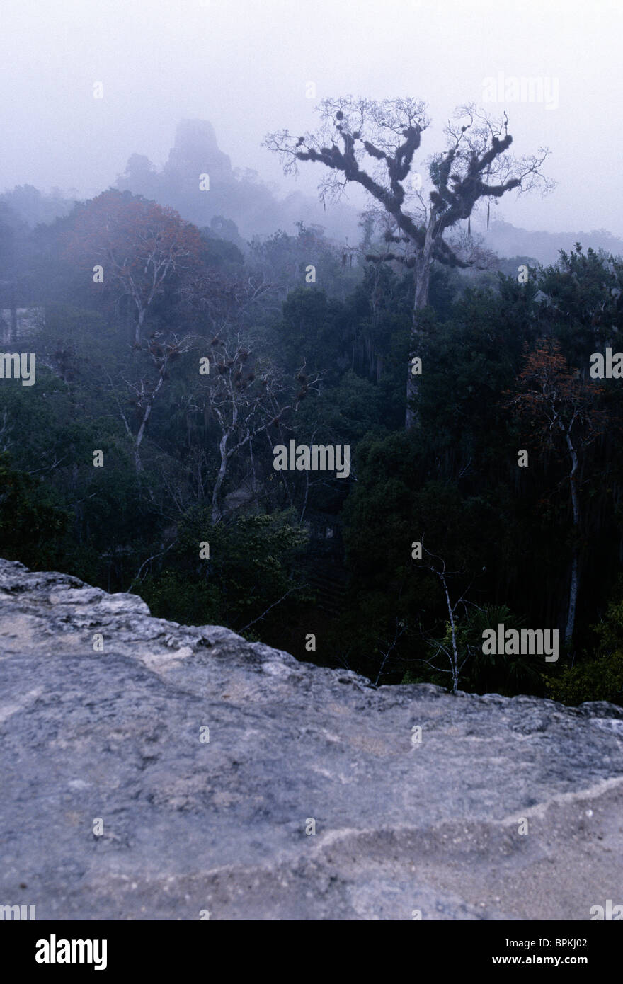 8th century Temple IV at the Lost World Complex in the UNESCO World ...