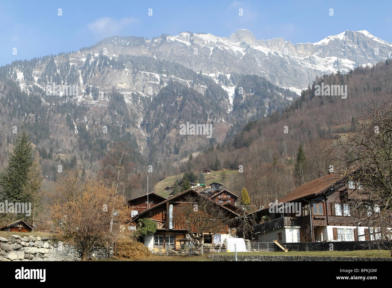 Traditional Alpine Swiss chalets beside Lake Brienz in the town of ...