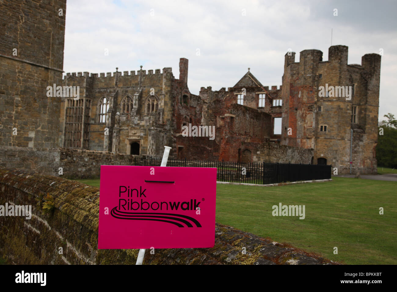 "pink ribbon walk" Cowdray Castle House Midhurst, West Sussex 2010 ...