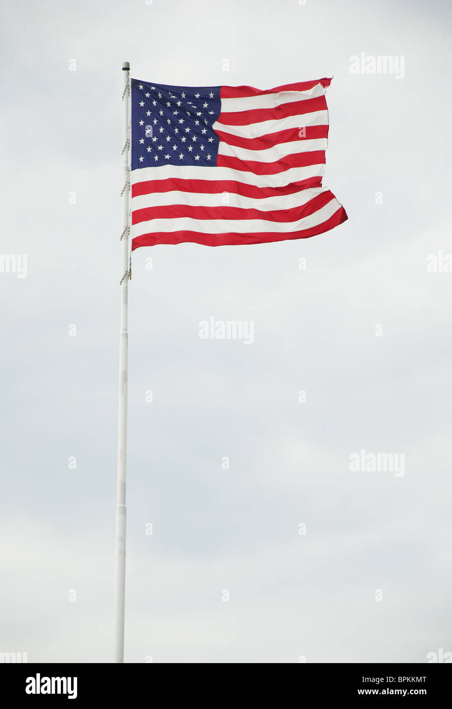 USA national flag Stock Photo - Alamy