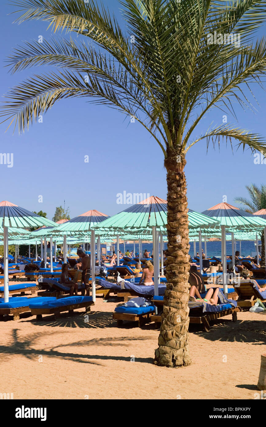 Sharm-el-Sheikh, Red Sea, Egypt Stock Photo - Alamy