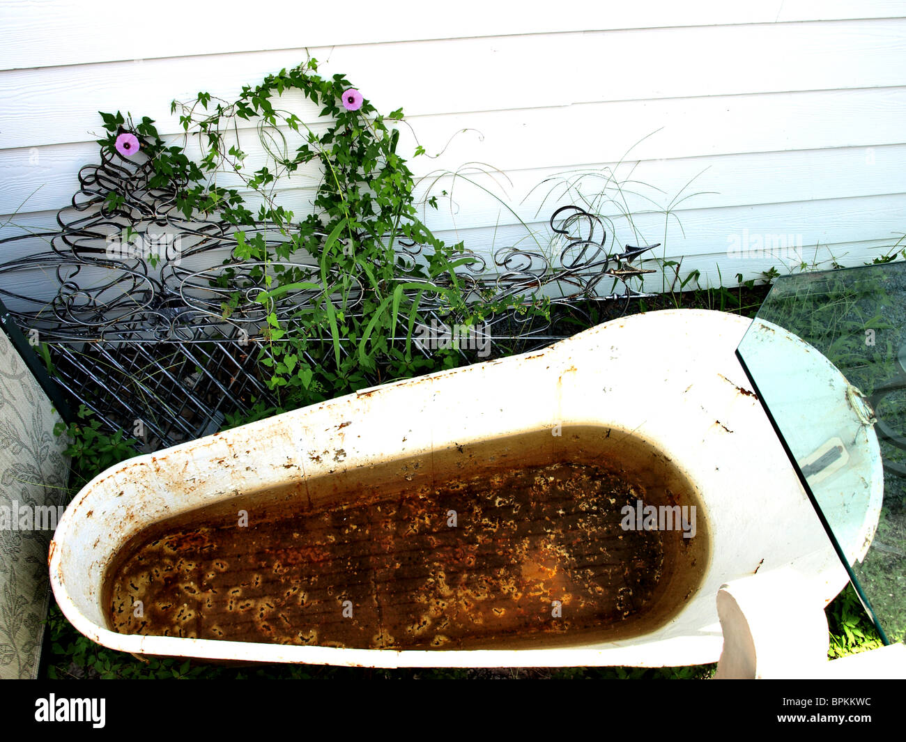rusted bathtub bathing tub with water in bottom outside near wall and ...