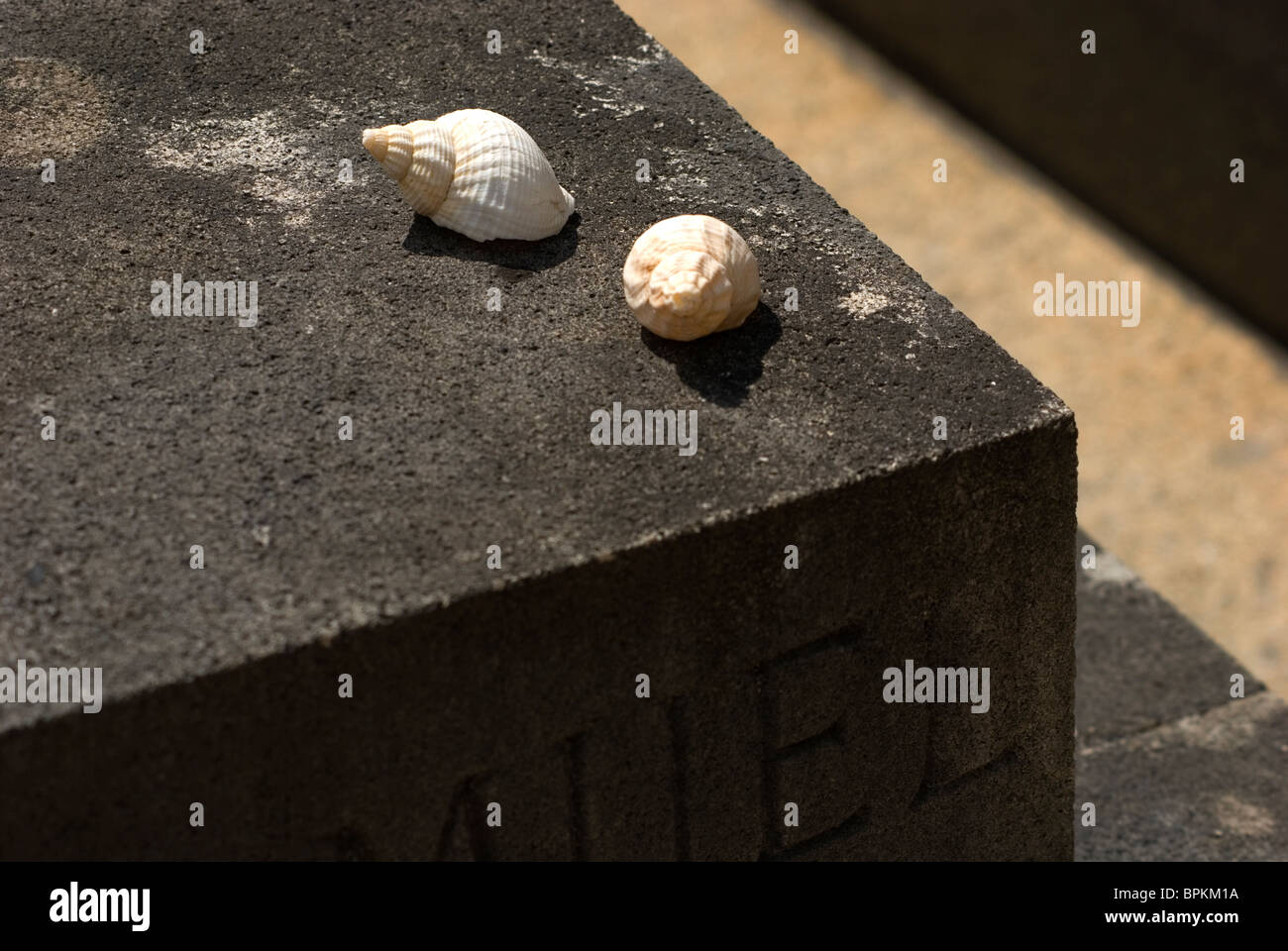 Shells on a tombstone on Montparnasse cemetery Stock Photo - Alamy