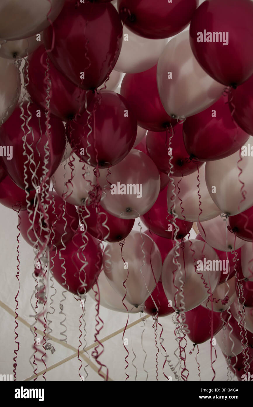 Red and white helium balloons with streamers Stock Photo - Alamy