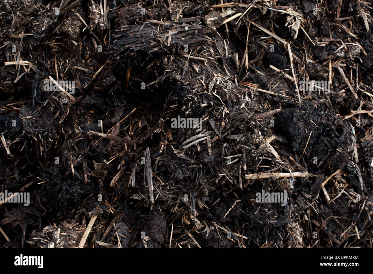 Rotted manure hi-res stock photography and images - Alamy