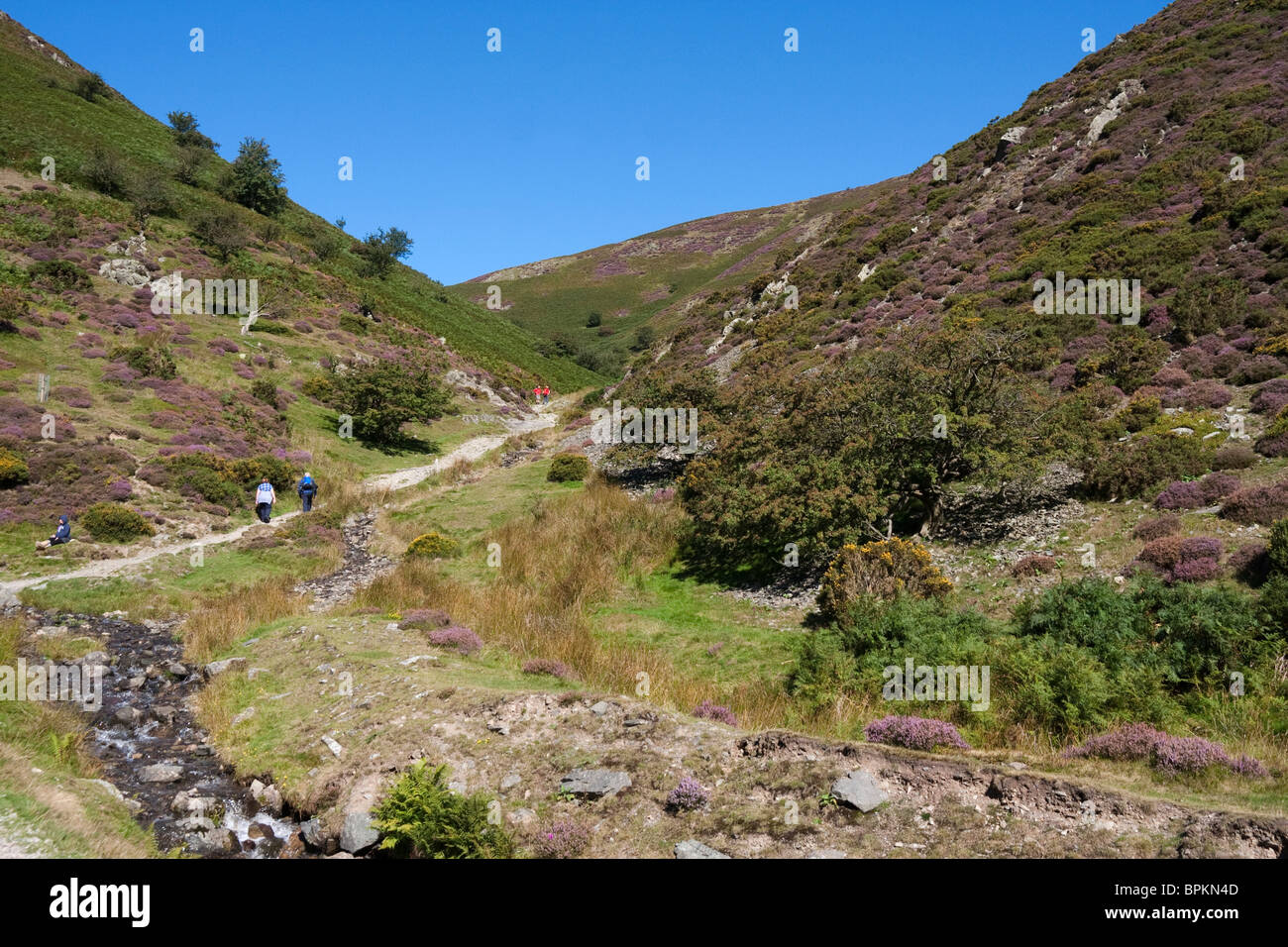 Carding mill valley jack mytton way hi-res stock photography and images ...