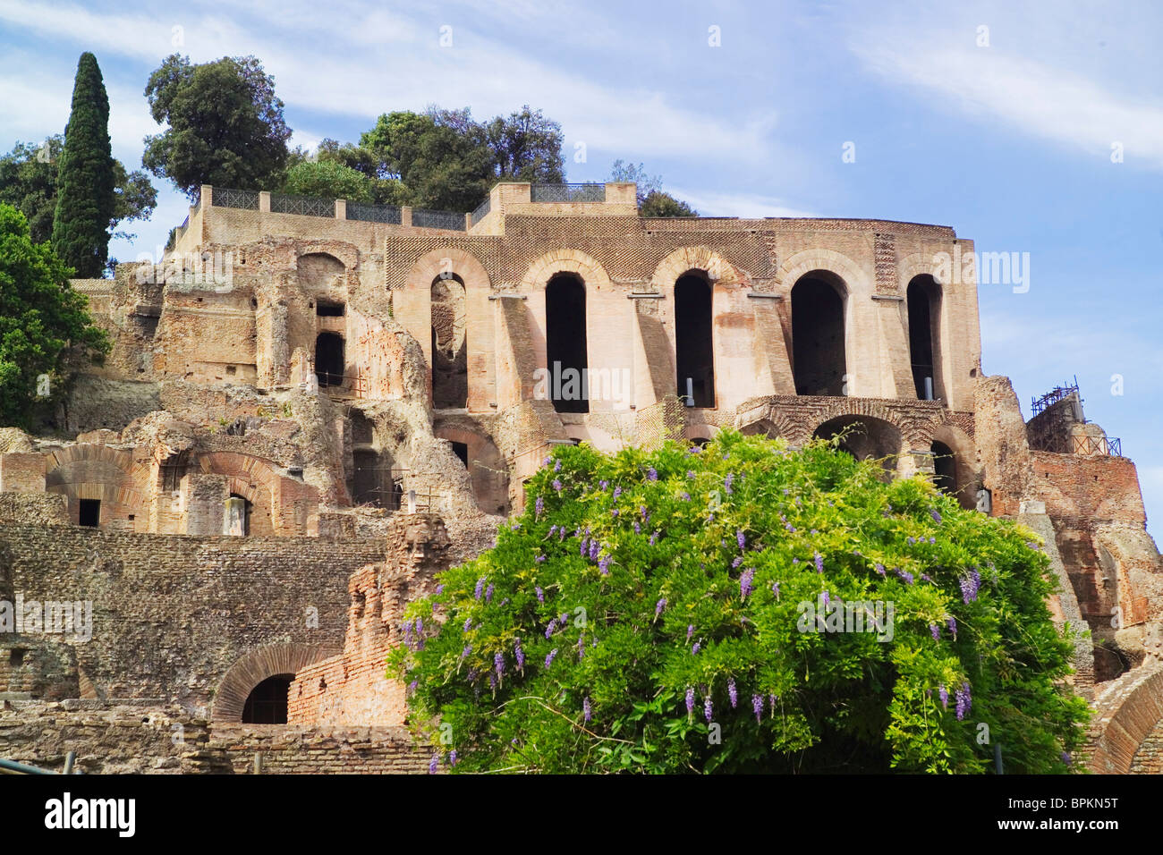 The Forum, Rome, Italy Stock Photo - Alamy