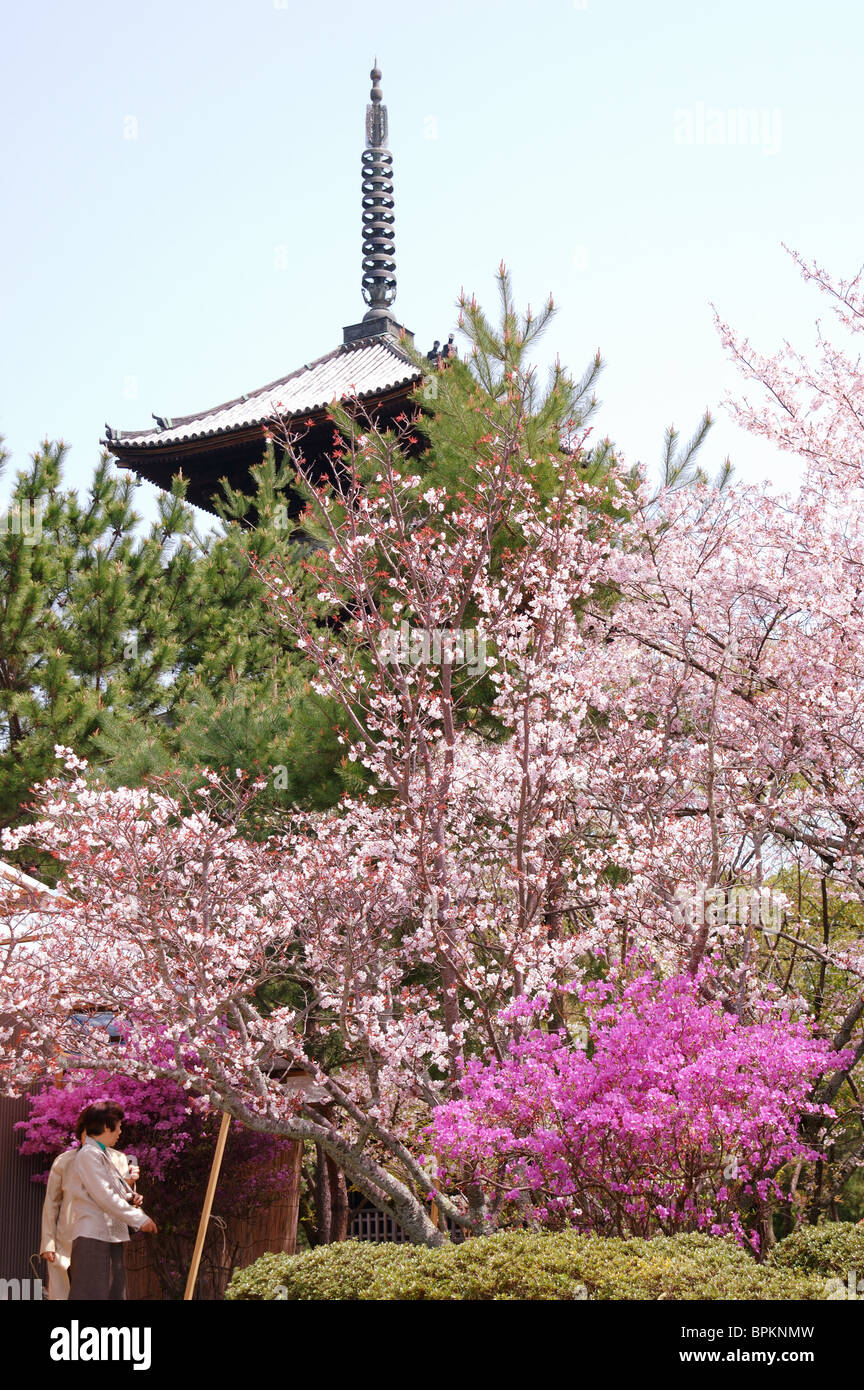 Ninnaji Temple, Kyoto Spring Fair, Japan Stock Photo - Alamy