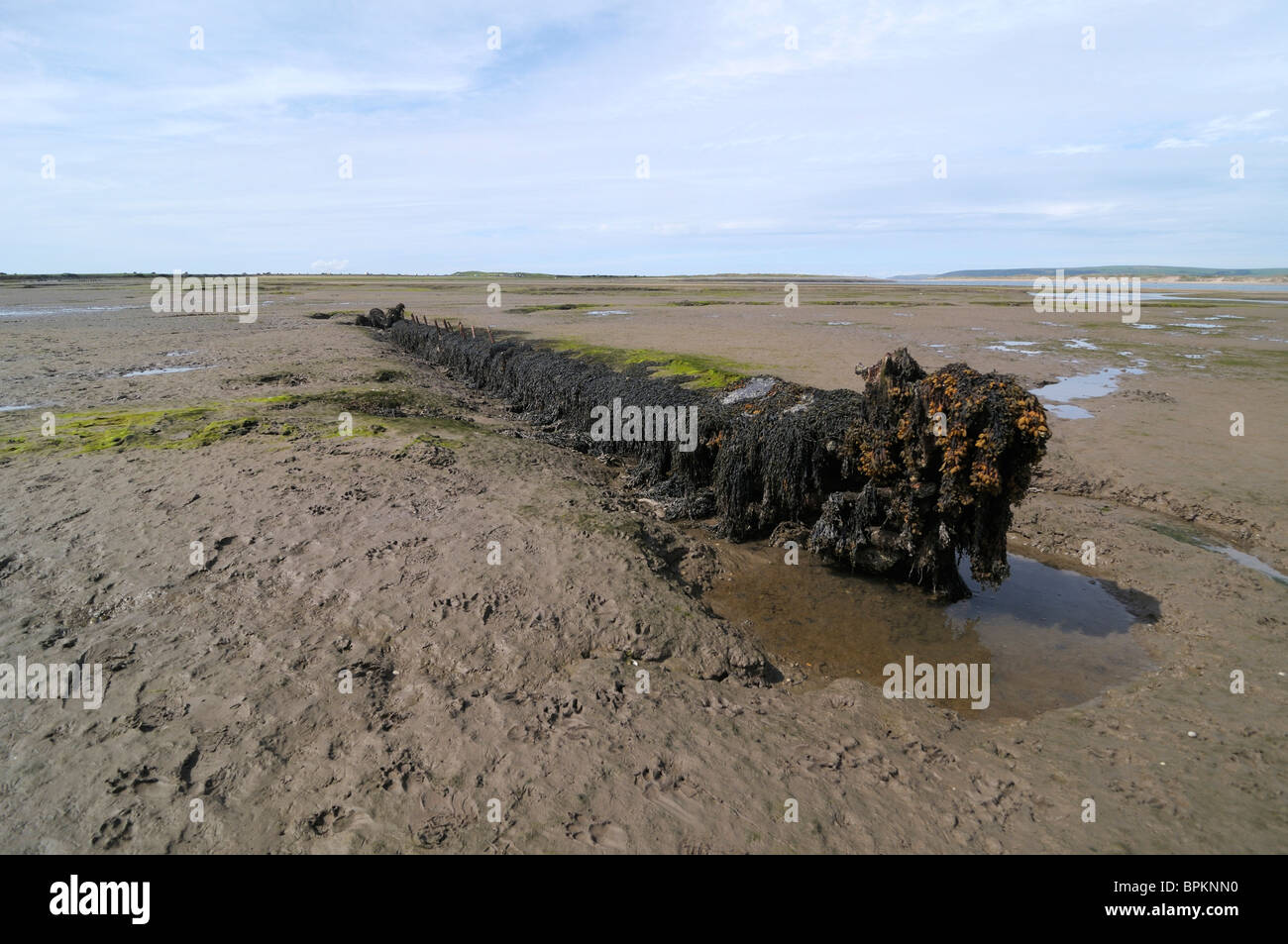 Keel of a wrecked ship, Appledore, Devon, UK Stock Photo - Alamy