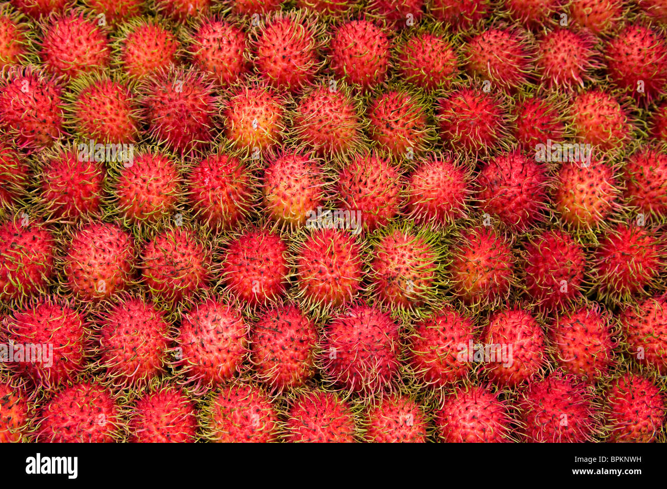 Stack of Rambutan fruit, Fruit market, Bangkok, Thailand Stock Photo ...