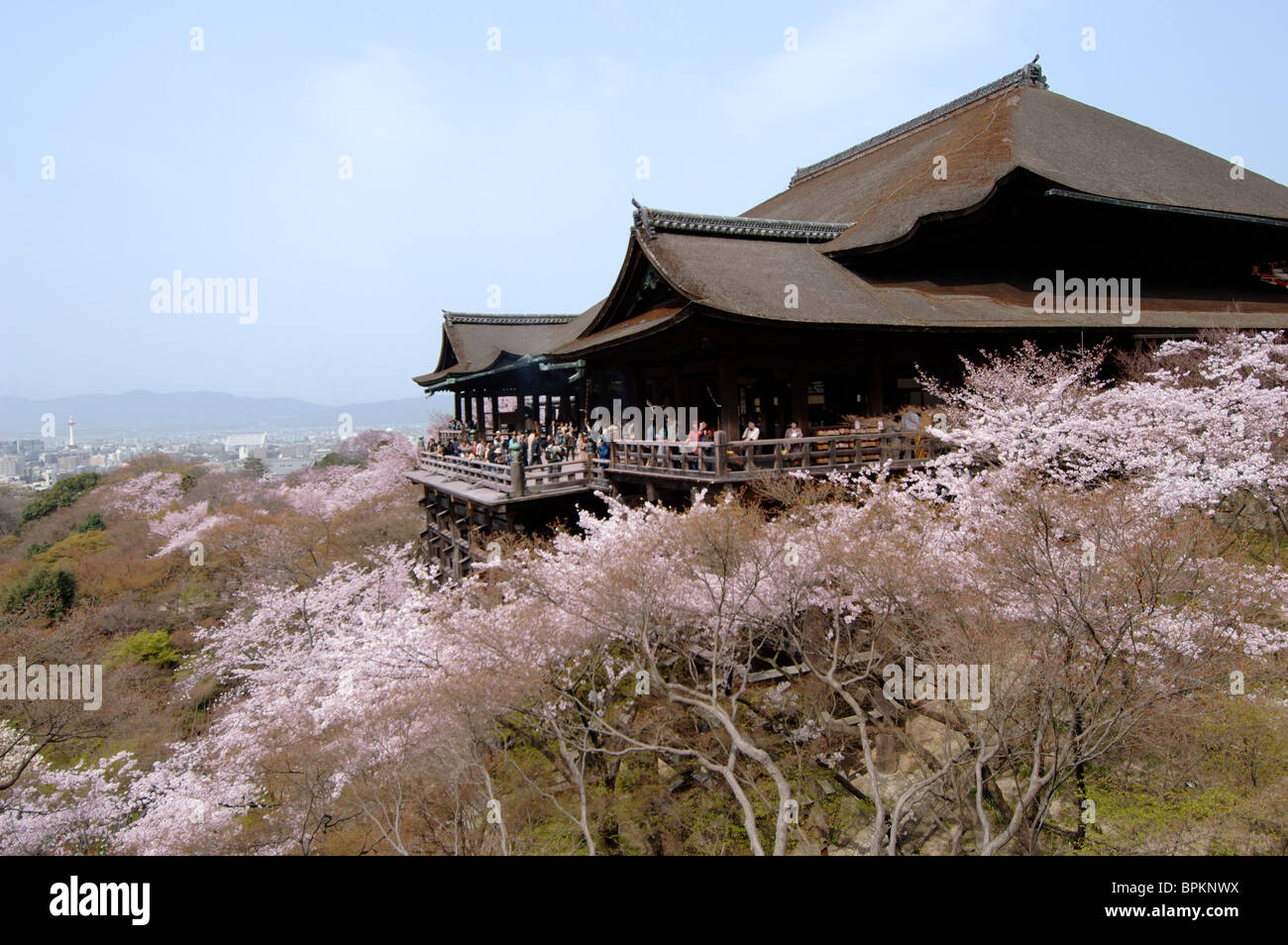 Kiyomizu Temple, Kyoto, Japan Stock Photo - Alamy