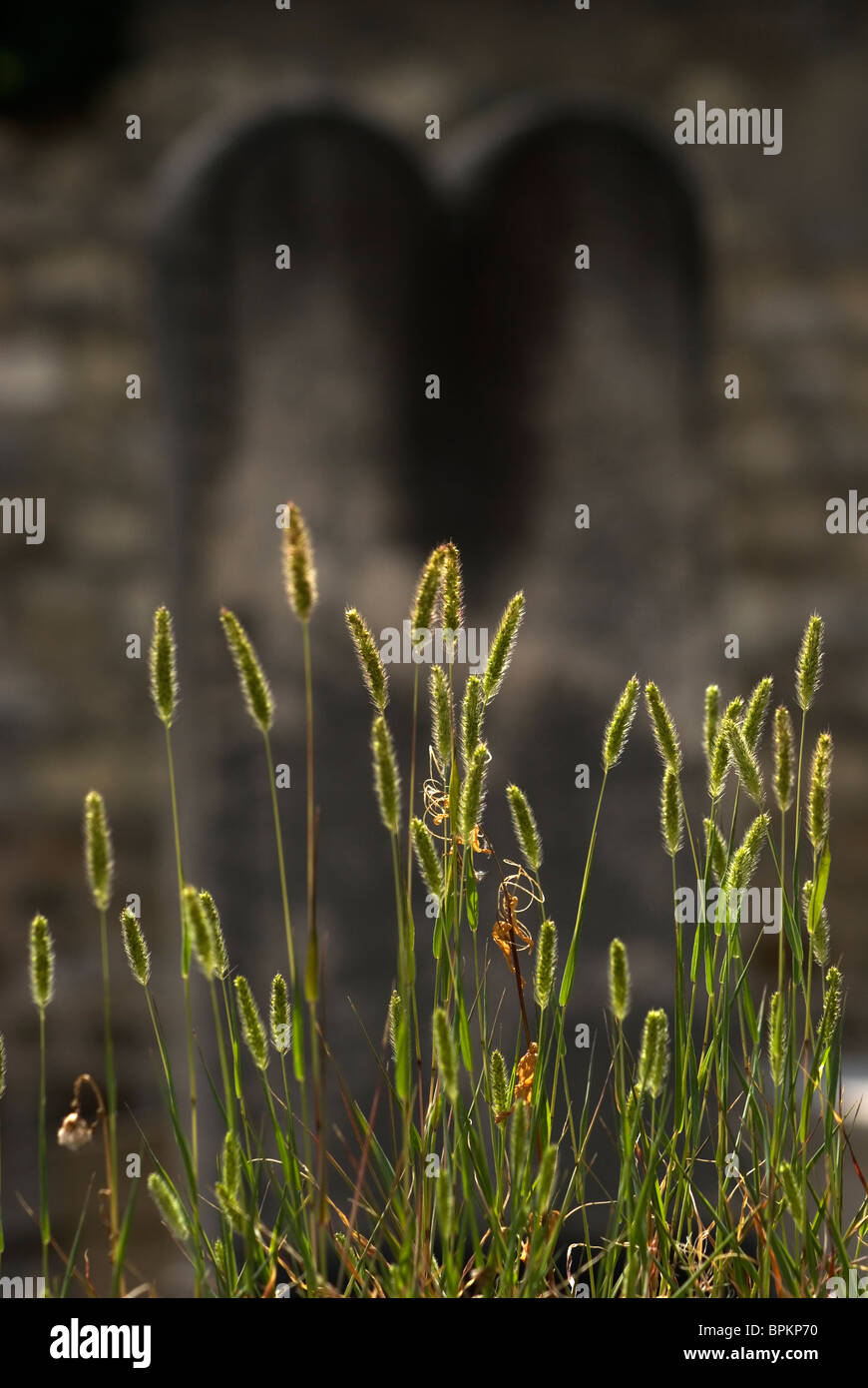 Grave tomb memorial hi-res stock photography and images - Alamy