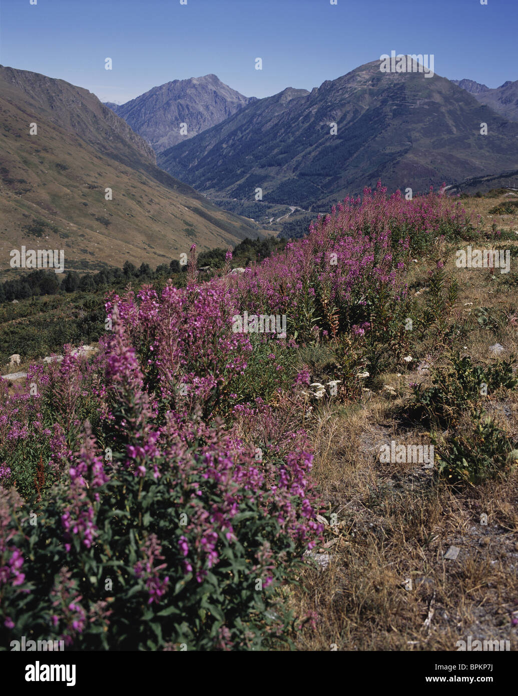 Typical scenery, Andorra Stock Photo - Alamy