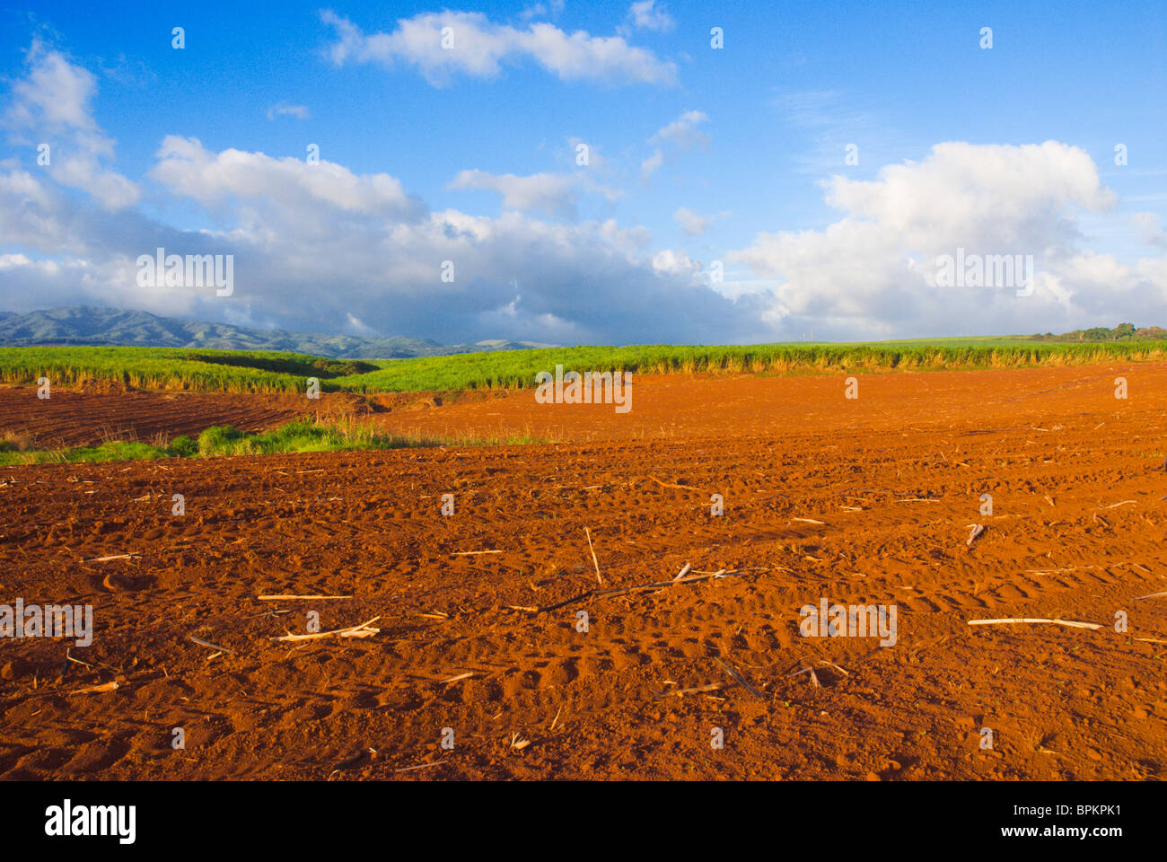 Hawaiian islands sugar cane plantation hi-res stock photography and ...