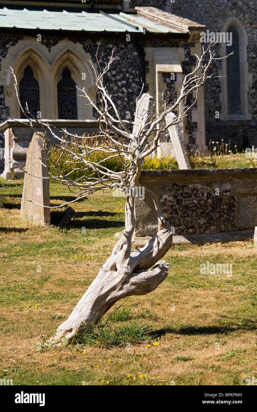 Rottingdean church uk hi-res stock photography and images - Alamy