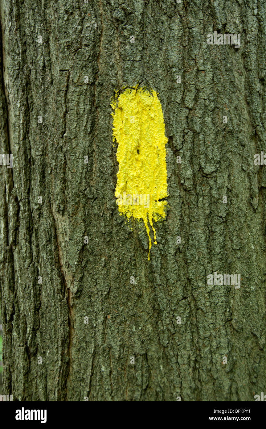 Trail marker trees hi-res stock photography and images - Alamy