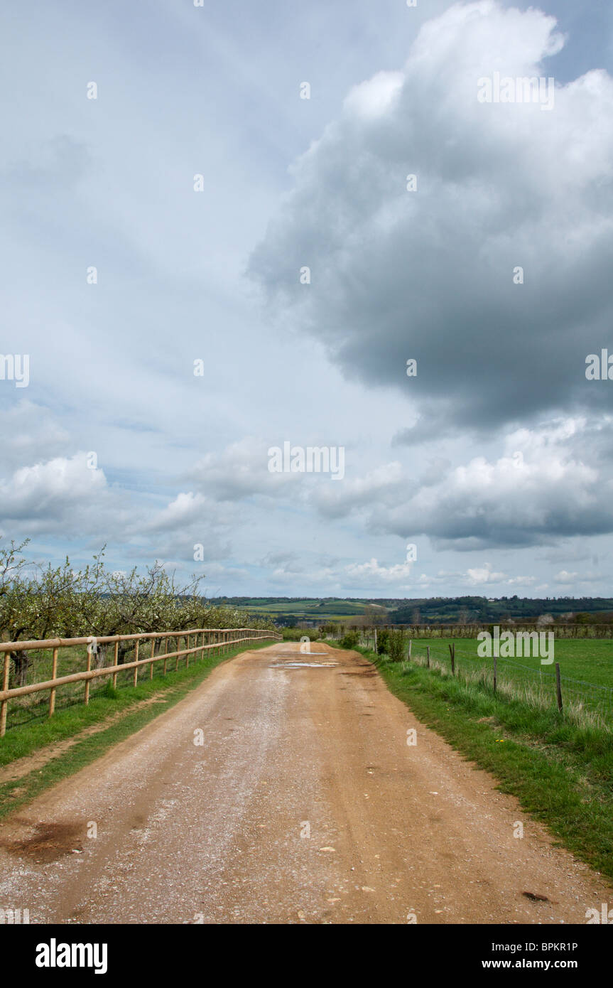 A road in the countryside Stock Photo - Alamy