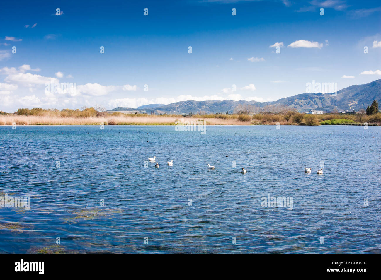 Countryside crete island greece hi-res stock photography and images - Alamy