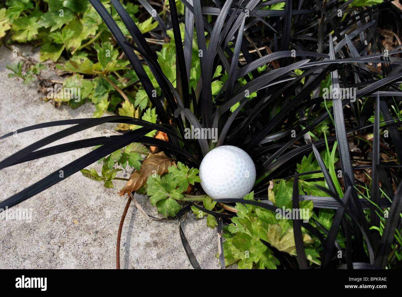 Bounds hi-res stock photography and images - Alamy