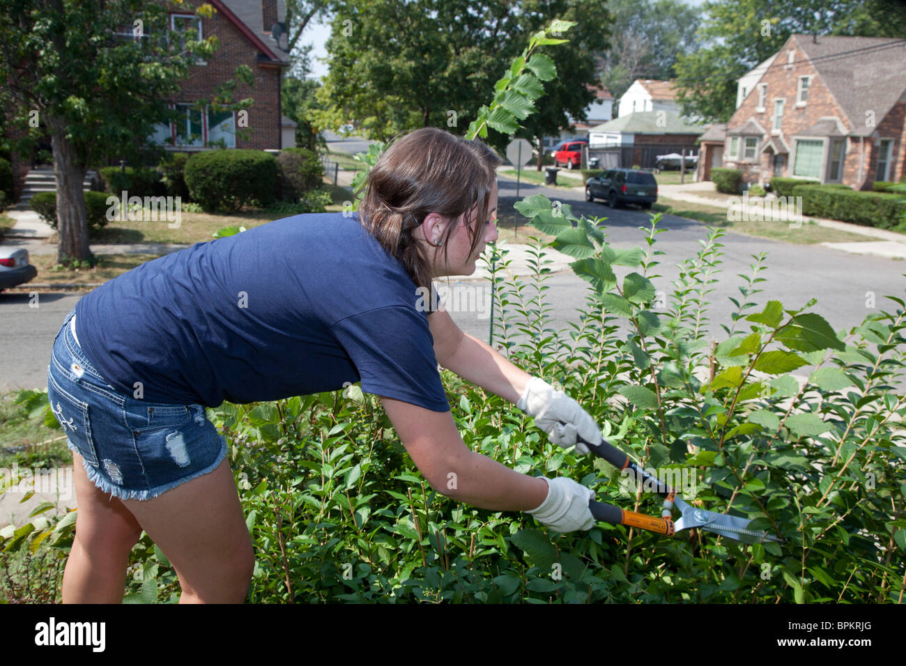 Property clean up hi-res stock photography and images - Alamy