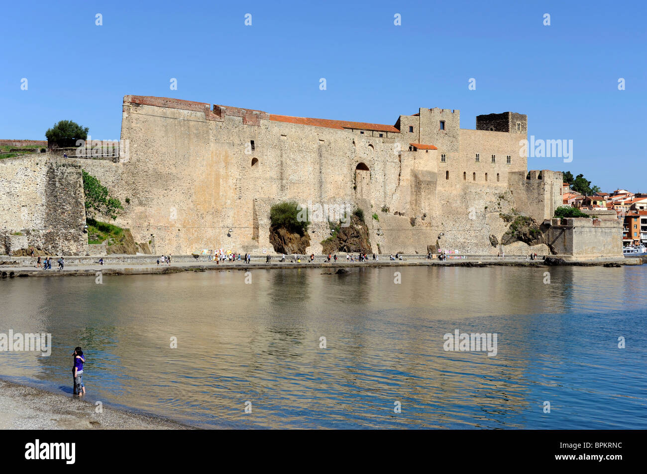Collioure castle near Perpignan,Pyrenees-Oriental,France Stock Photo ...