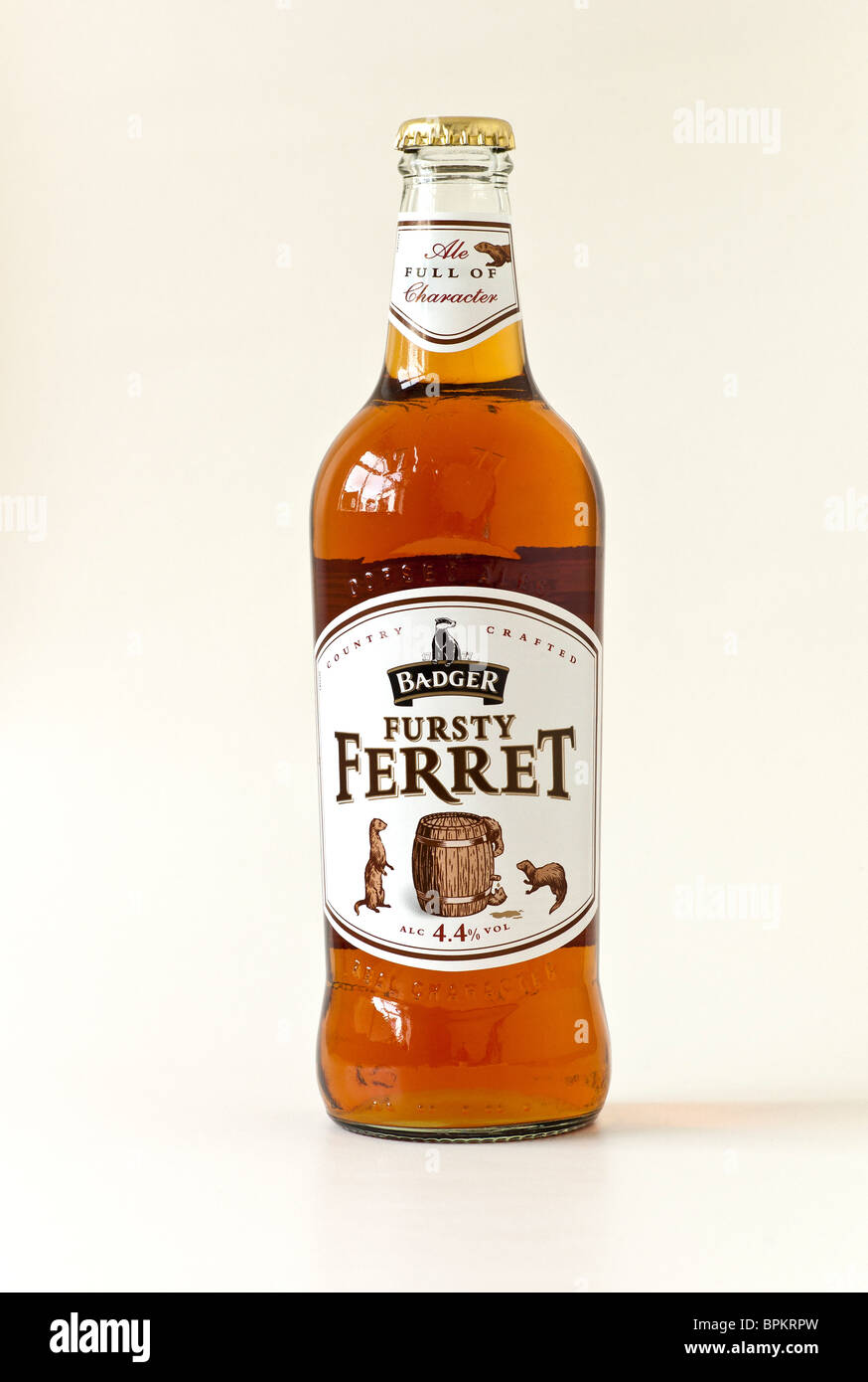 Real ale called Badger "Fursty Ferret" in a bottle Stock Photo - Alamy
