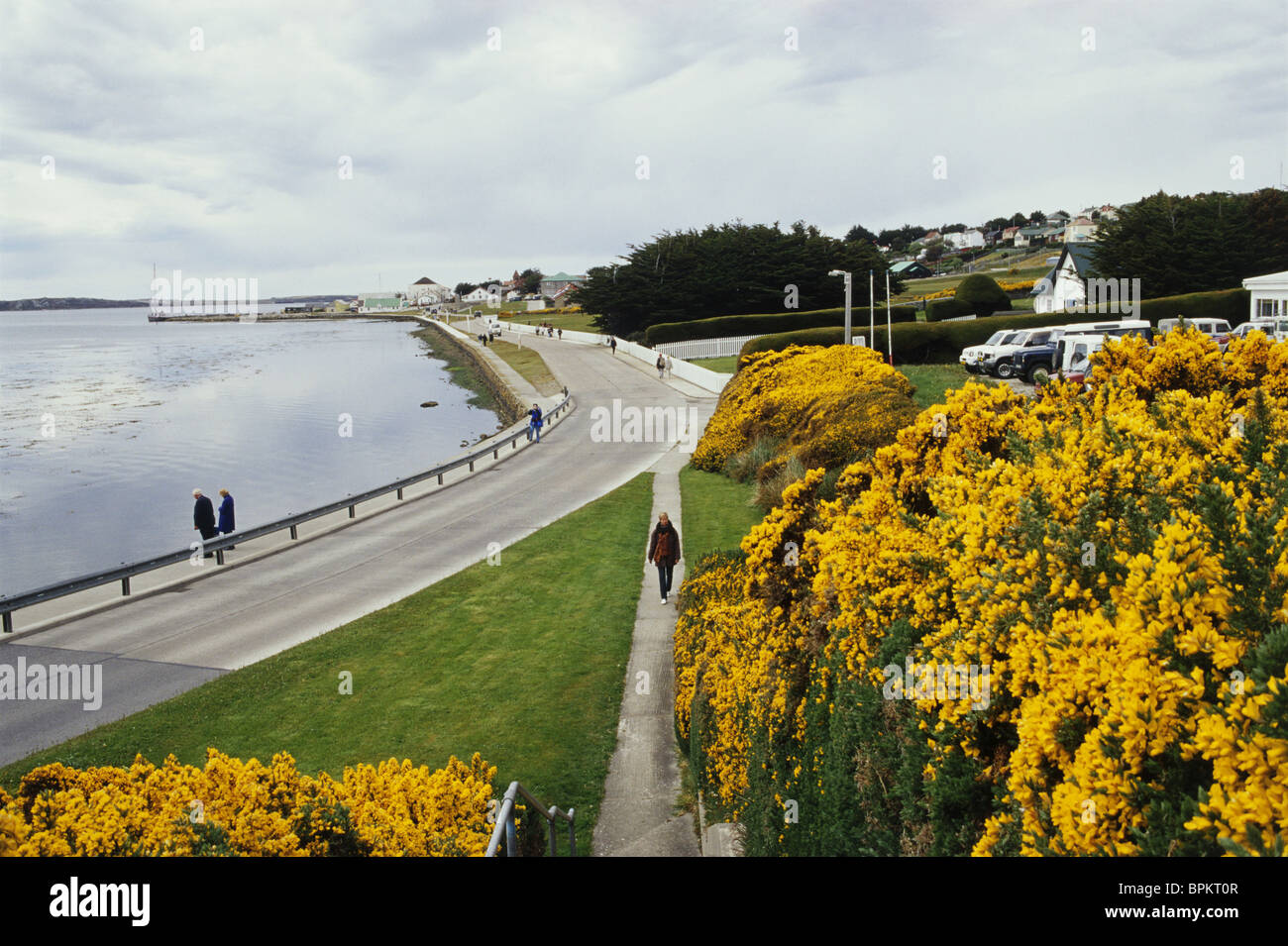 Port Stanley, Falklands Islands Stock Photo - Alamy