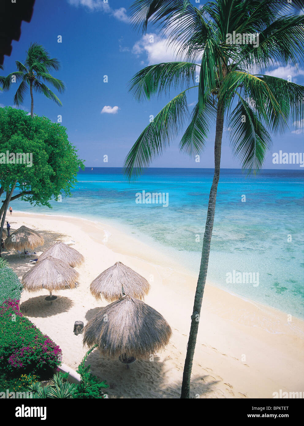 Tamarind Cove, Barbados, Caribbean Stock Photo - Alamy