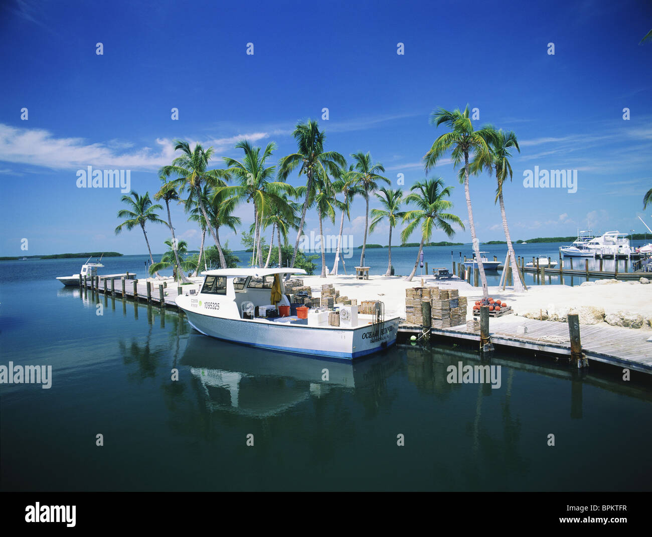 Islamorada Key, Florida Keys, Florida, USA Stock Photo - Alamy