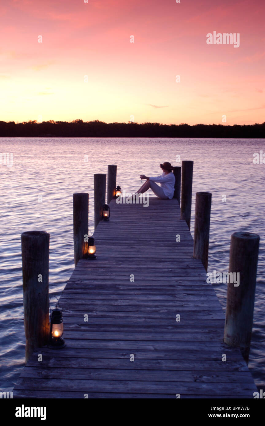 D. Pedro Land Dock, Gulf Coast, Florida, USA Stock Photo - Alamy