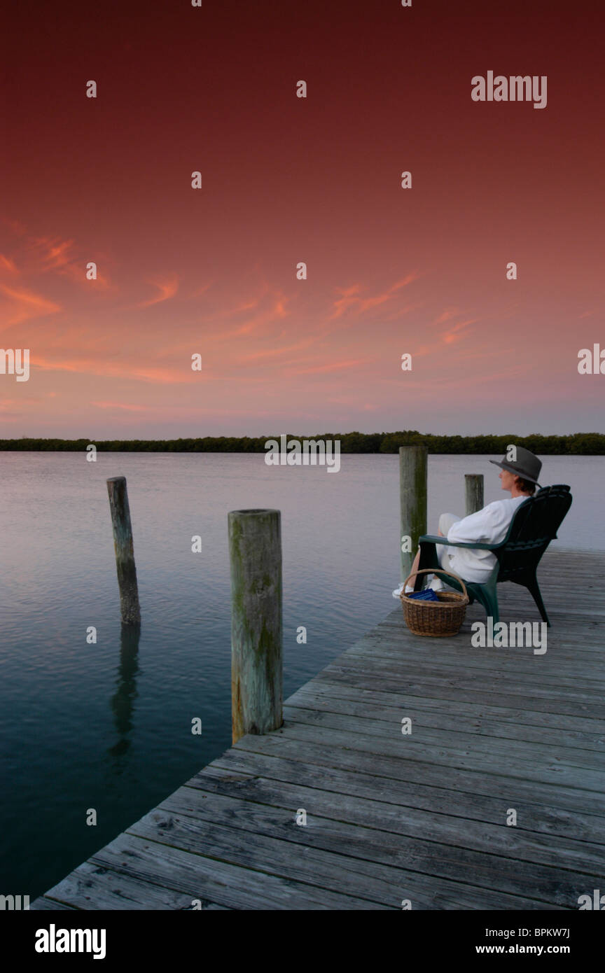 D. Pedro Land Dock, Gulf Coast, Florida, USA Stock Photo - Alamy