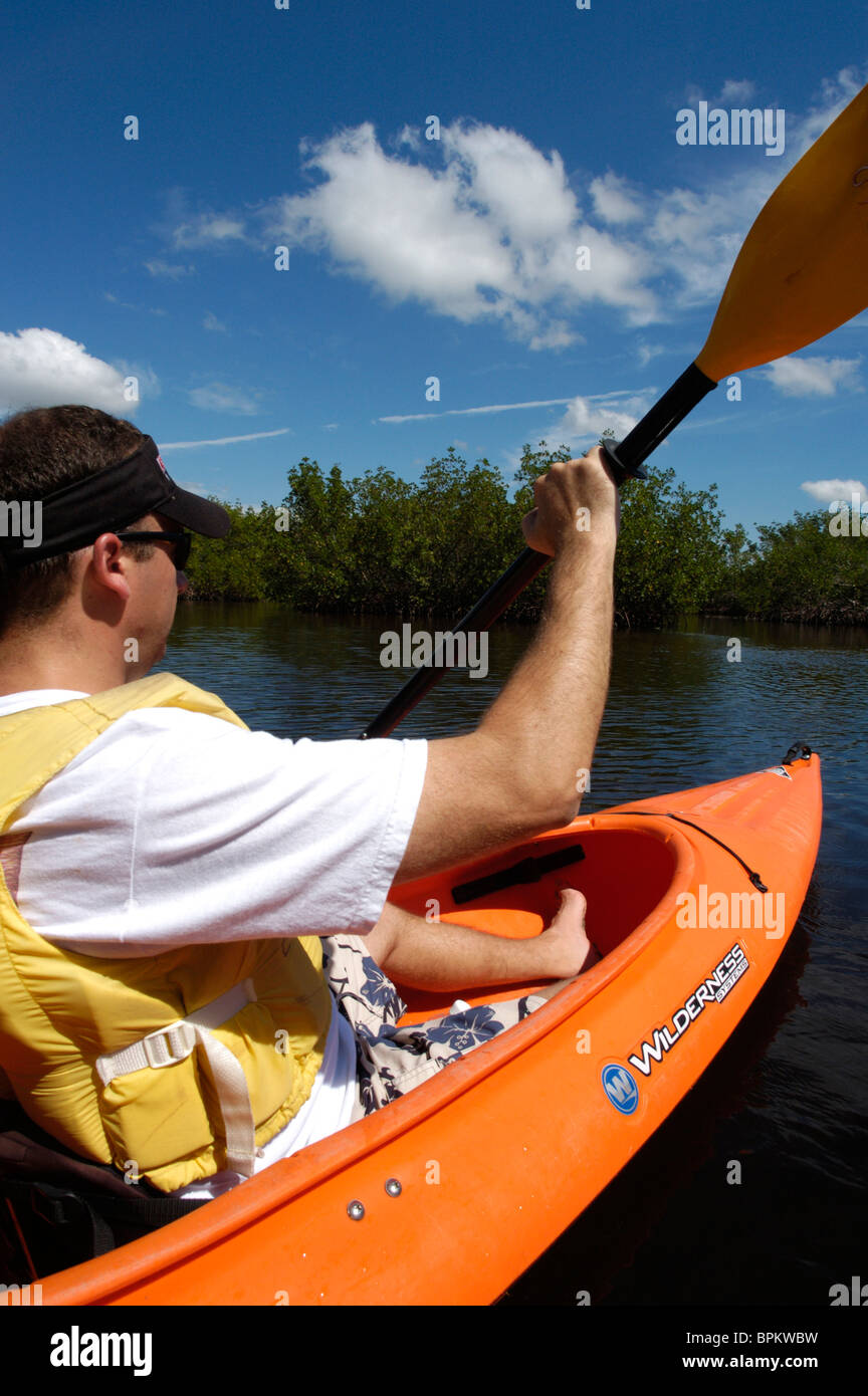 Placida florida hi-res stock photography and images - Alamy