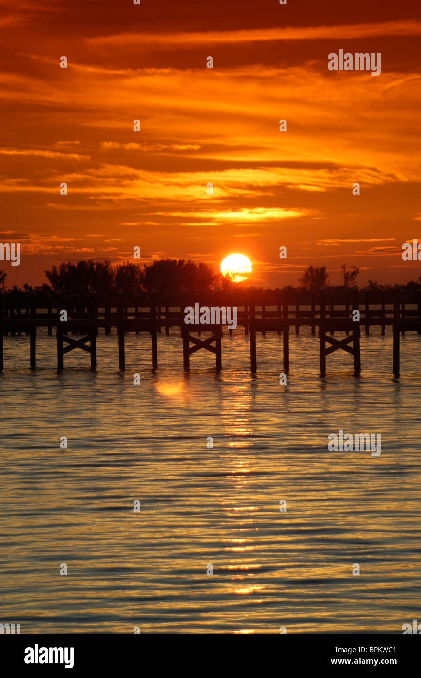 Placida florida hi-res stock photography and images - Alamy