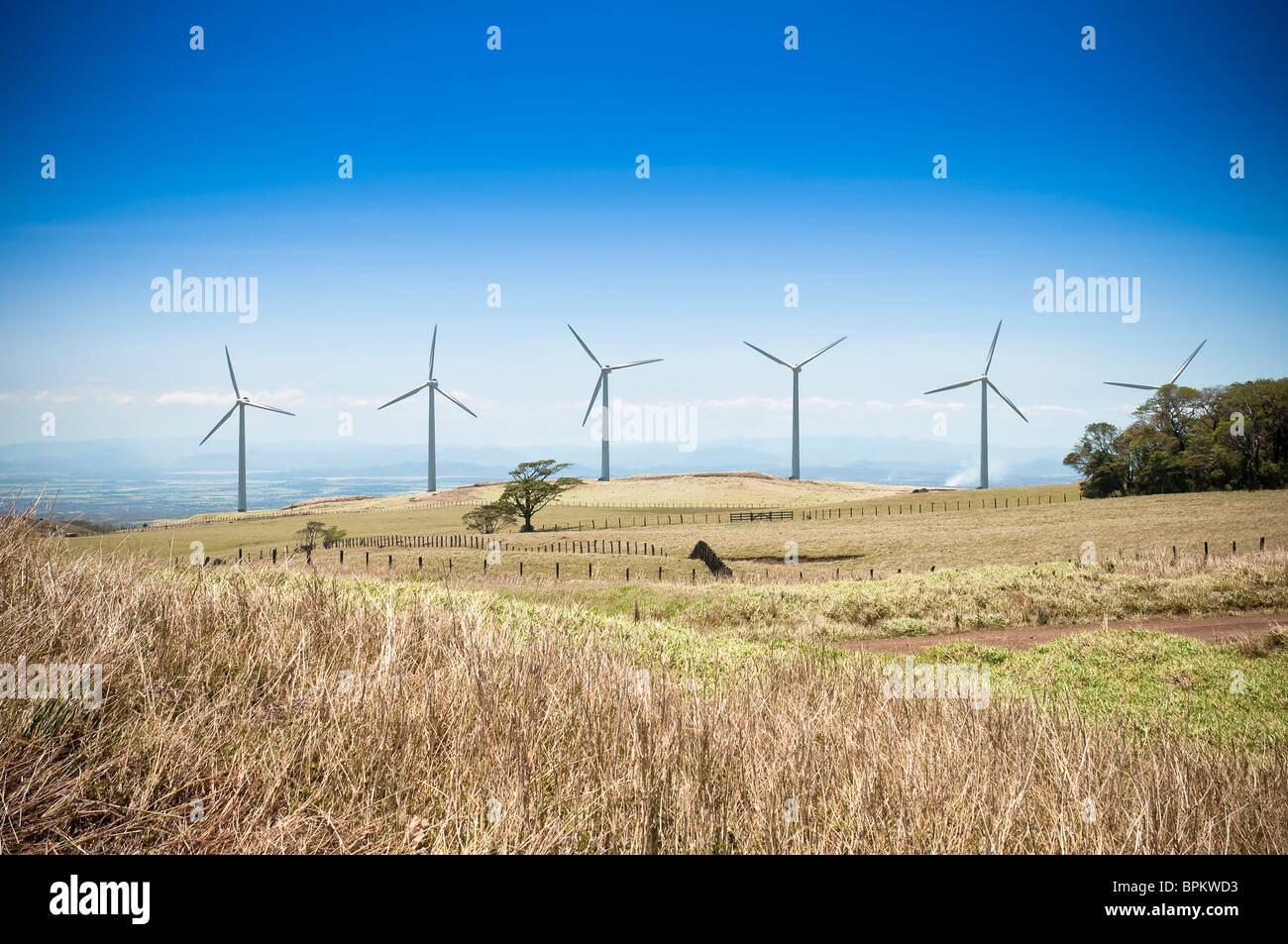 Large wind turbines parc, ecological electricity production system, in ...