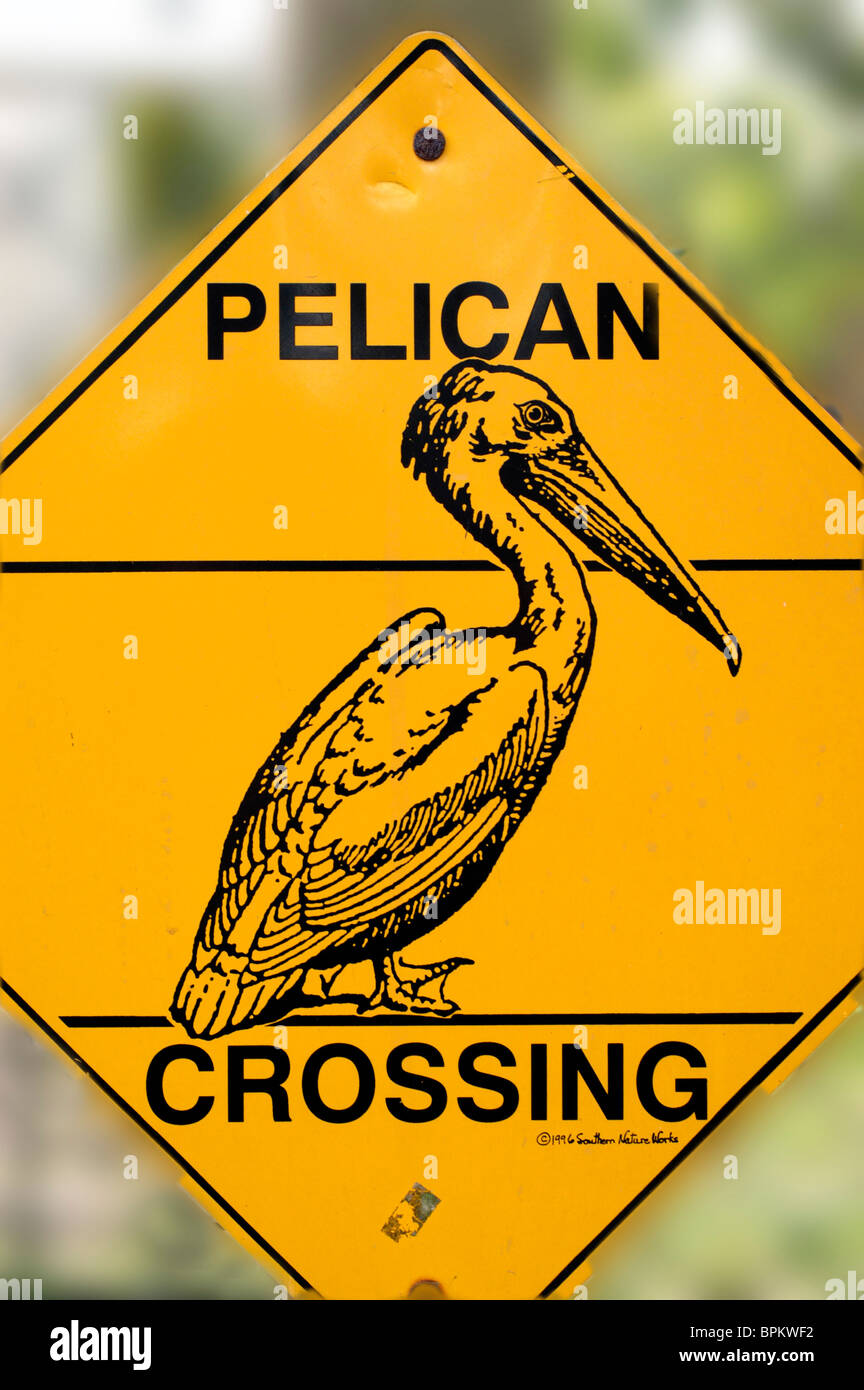 Wildlife Sign, Florida, United States Stock Photo - Alamy