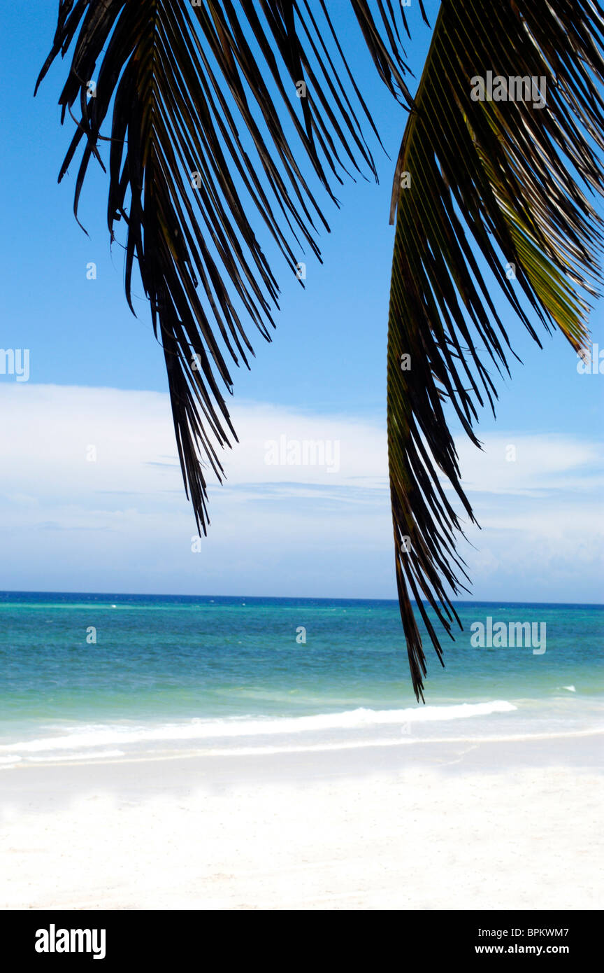 Diani Reef Resort, Kenya Stock Photo - Alamy