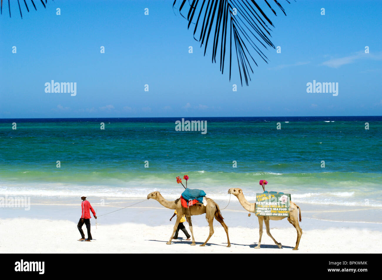 Diani Reef Resort, Kenya Stock Photo - Alamy