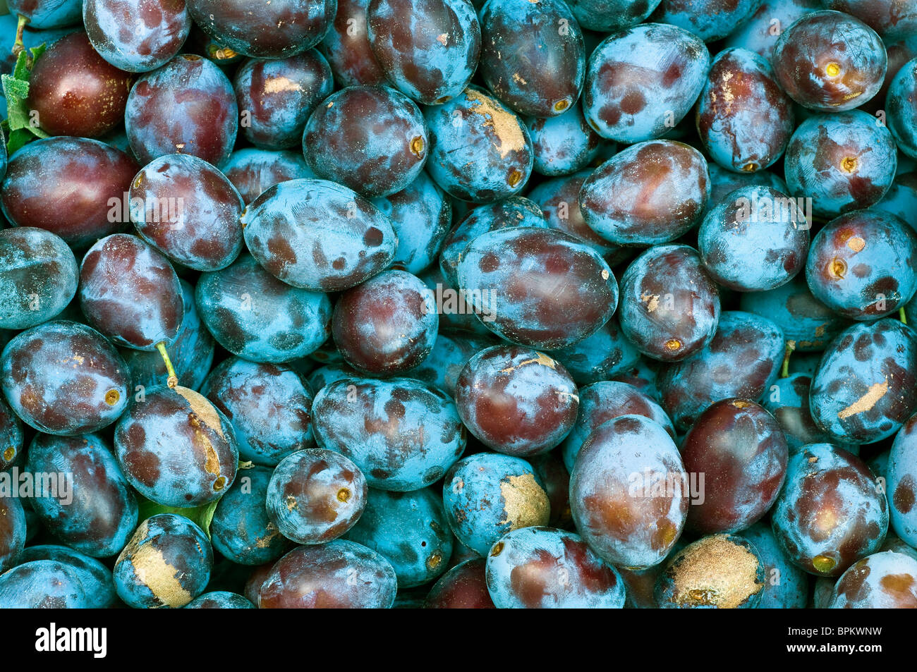 Edible desert hi-res stock photography and images - Alamy