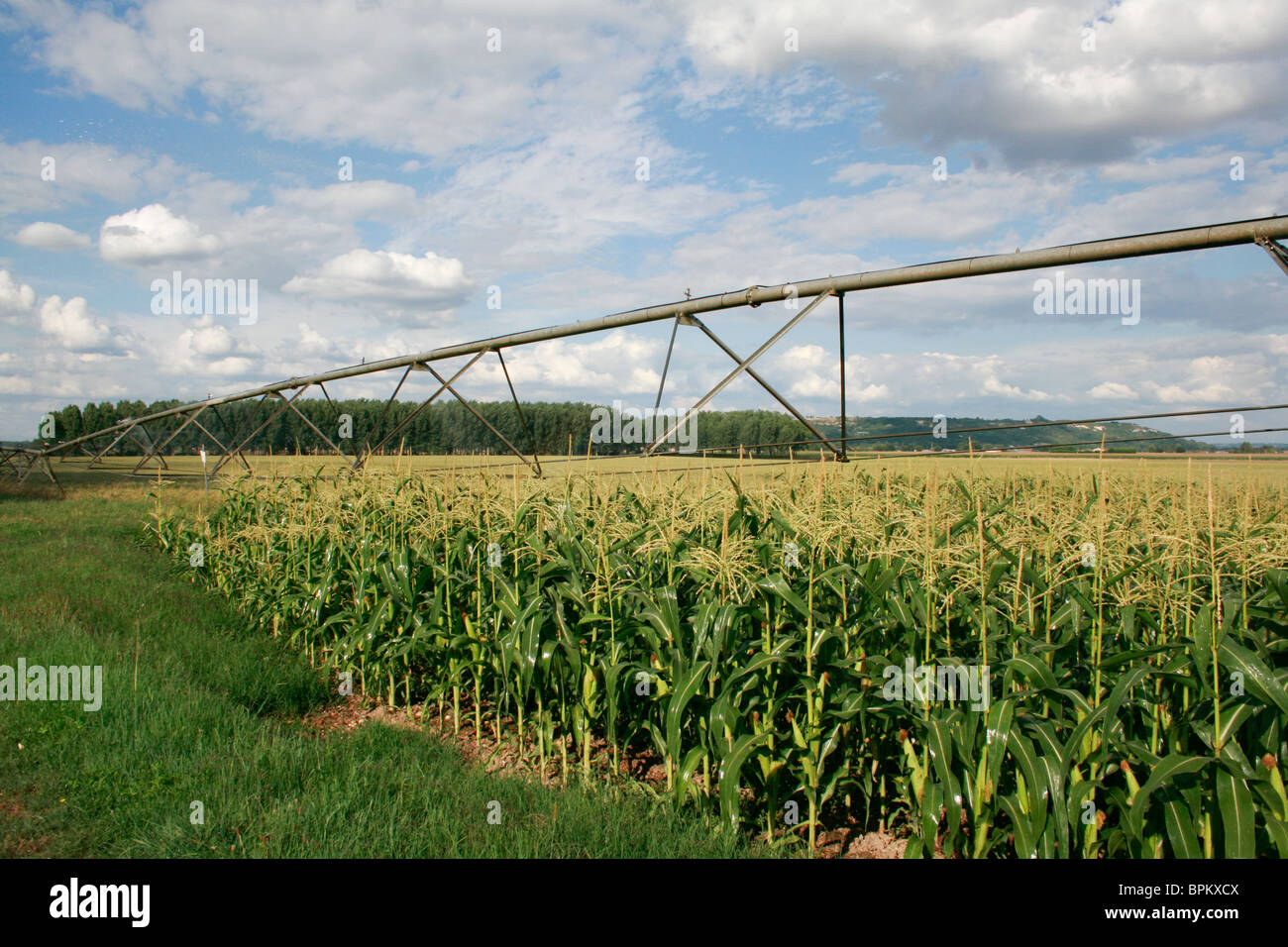 Maize irrigation hi-res stock photography and images - Alamy